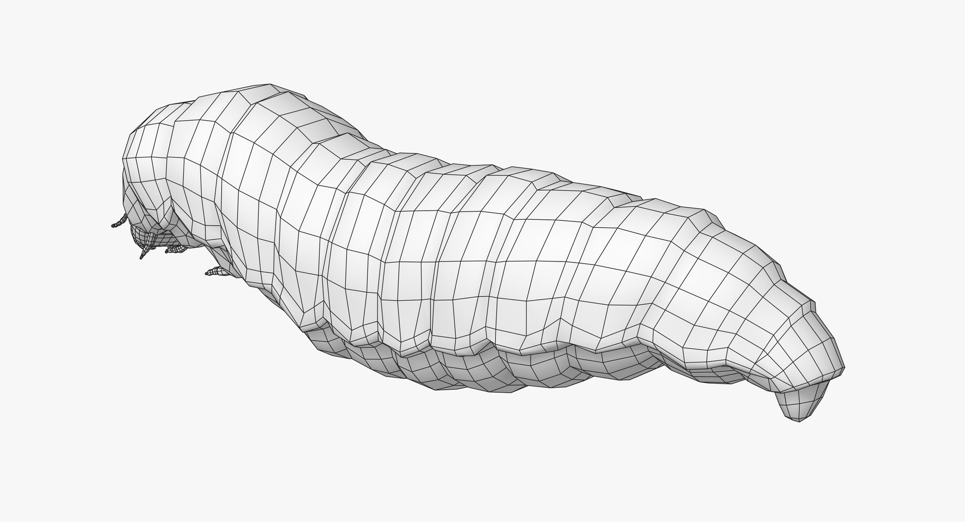 3D Realistic Maggot Pose - TurboSquid 1425106