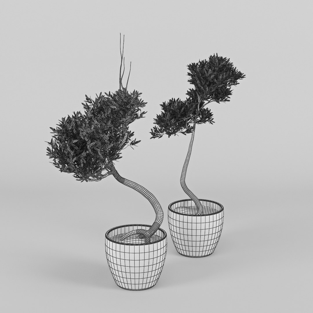 Olive Tree 3d Max