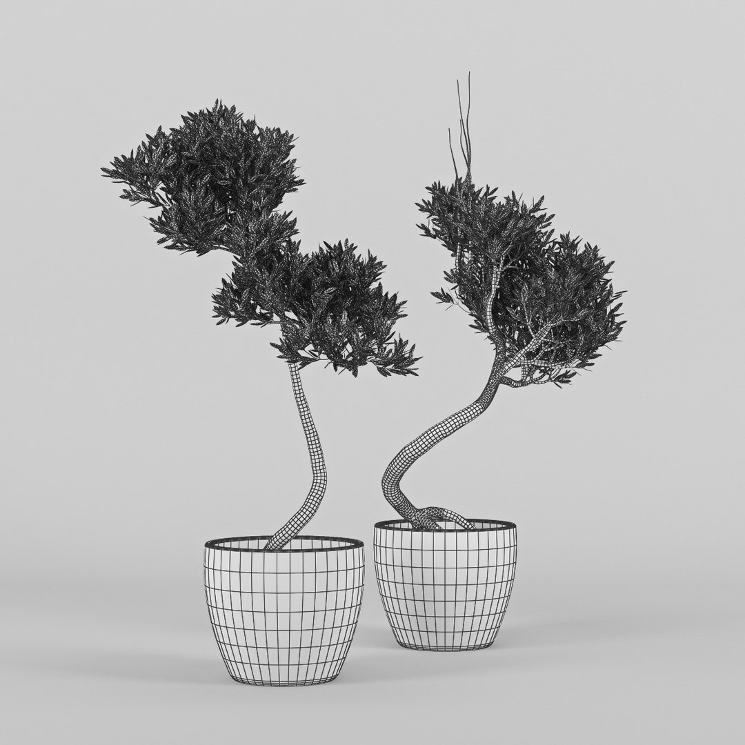 Olive Tree 3d Max