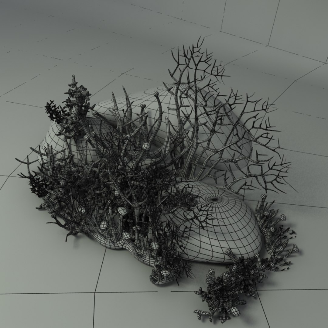 Coral Set Reef 3d Model