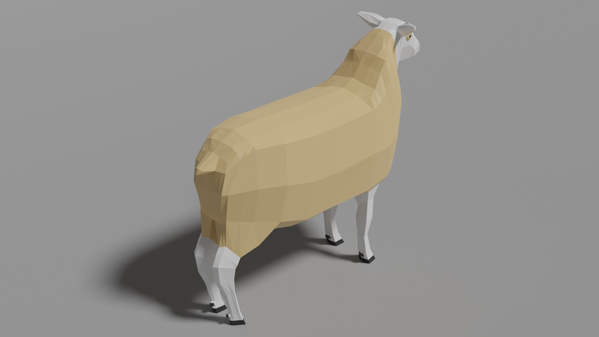 Sheep 3D model - TurboSquid 1586007