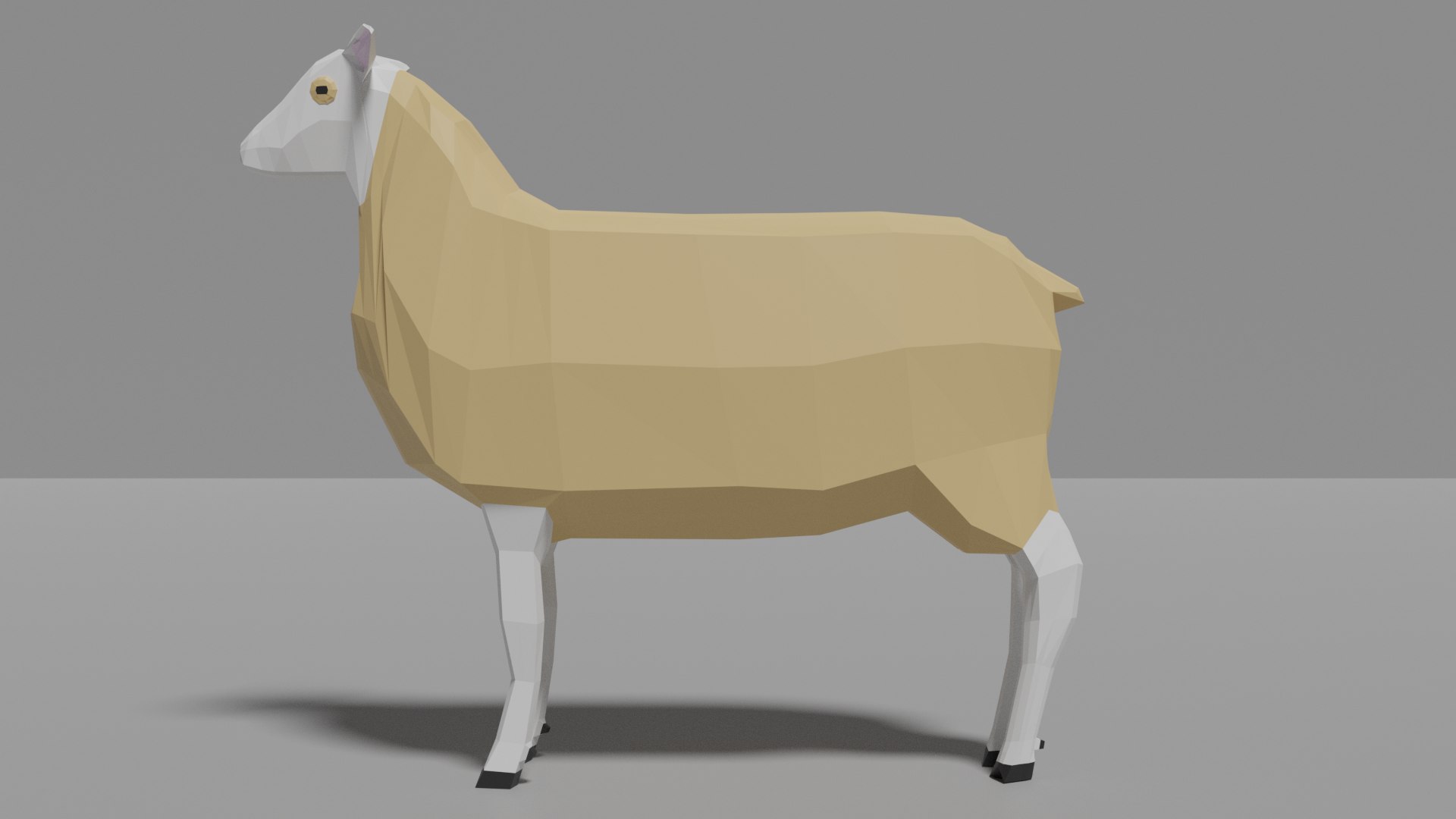 Sheep 3D model - TurboSquid 1586007