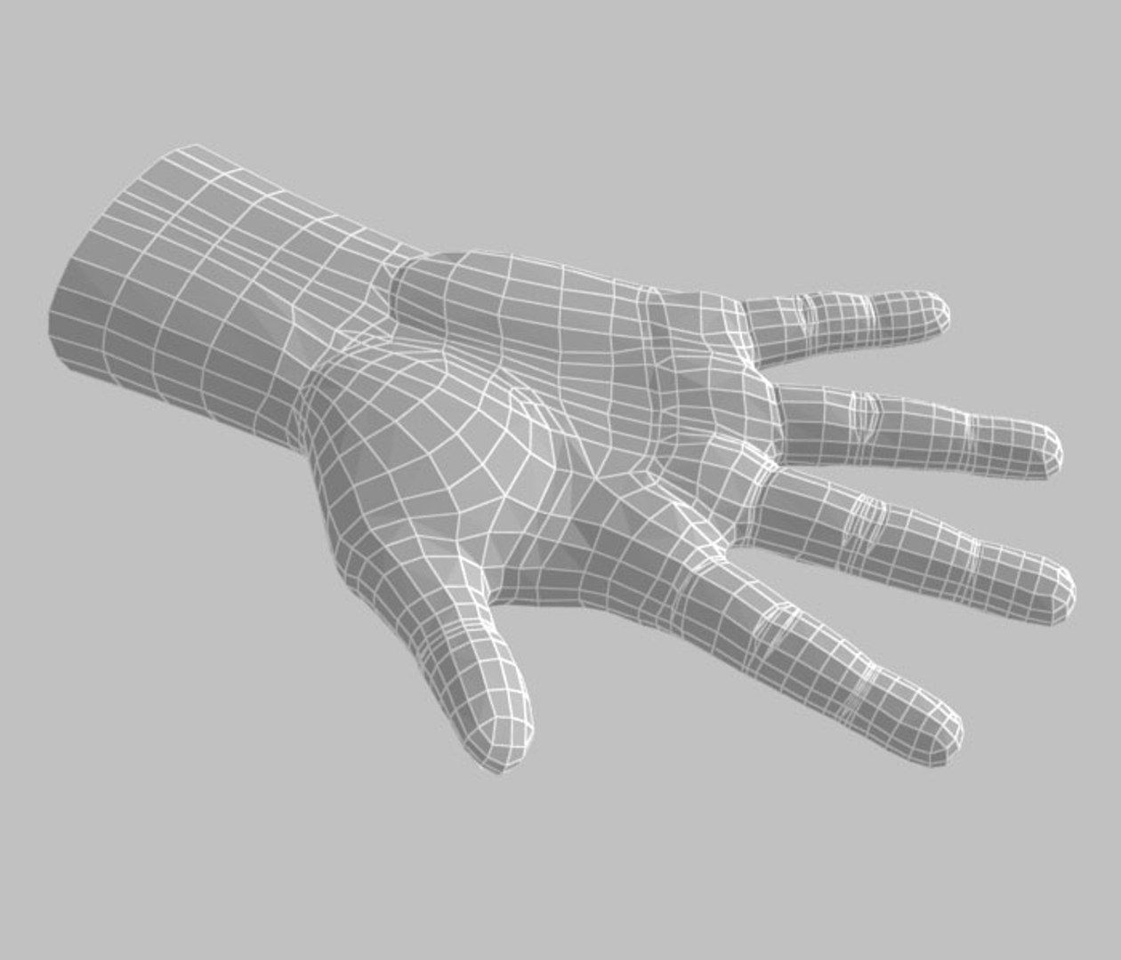 3d Male Hand