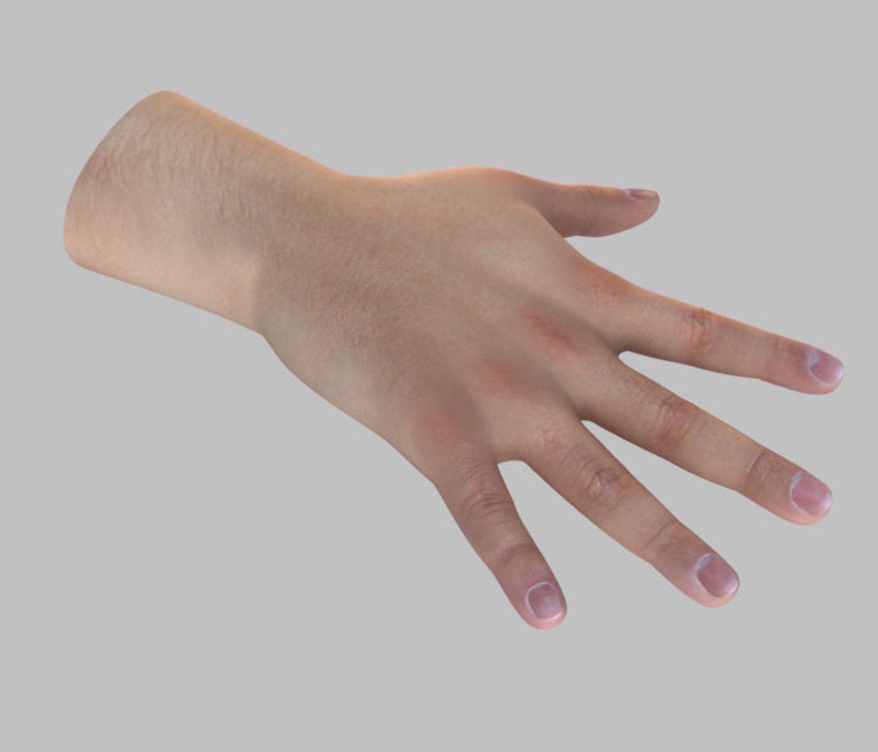 3d Male Hand