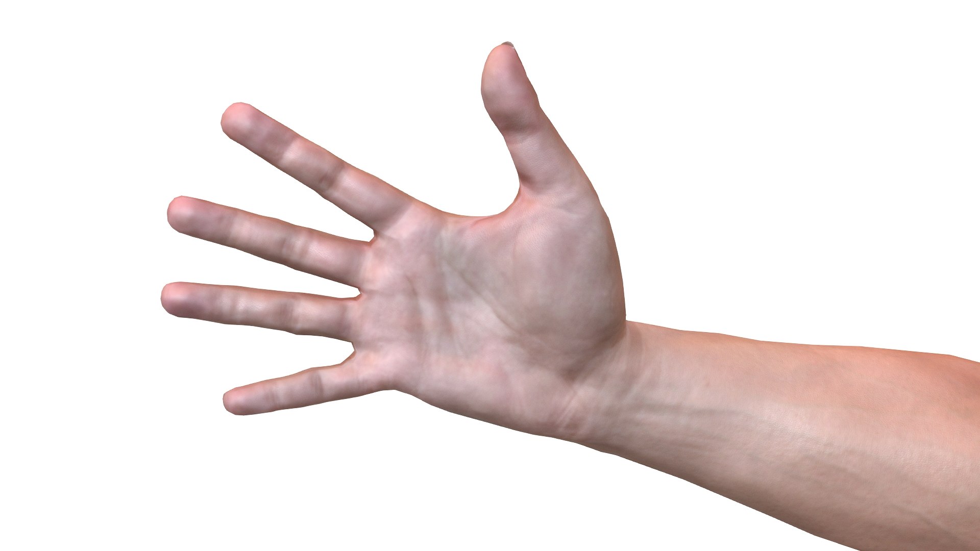 Male Hand Rigged For Cinema 4D FBX 3D Model - TurboSquid 2286098
