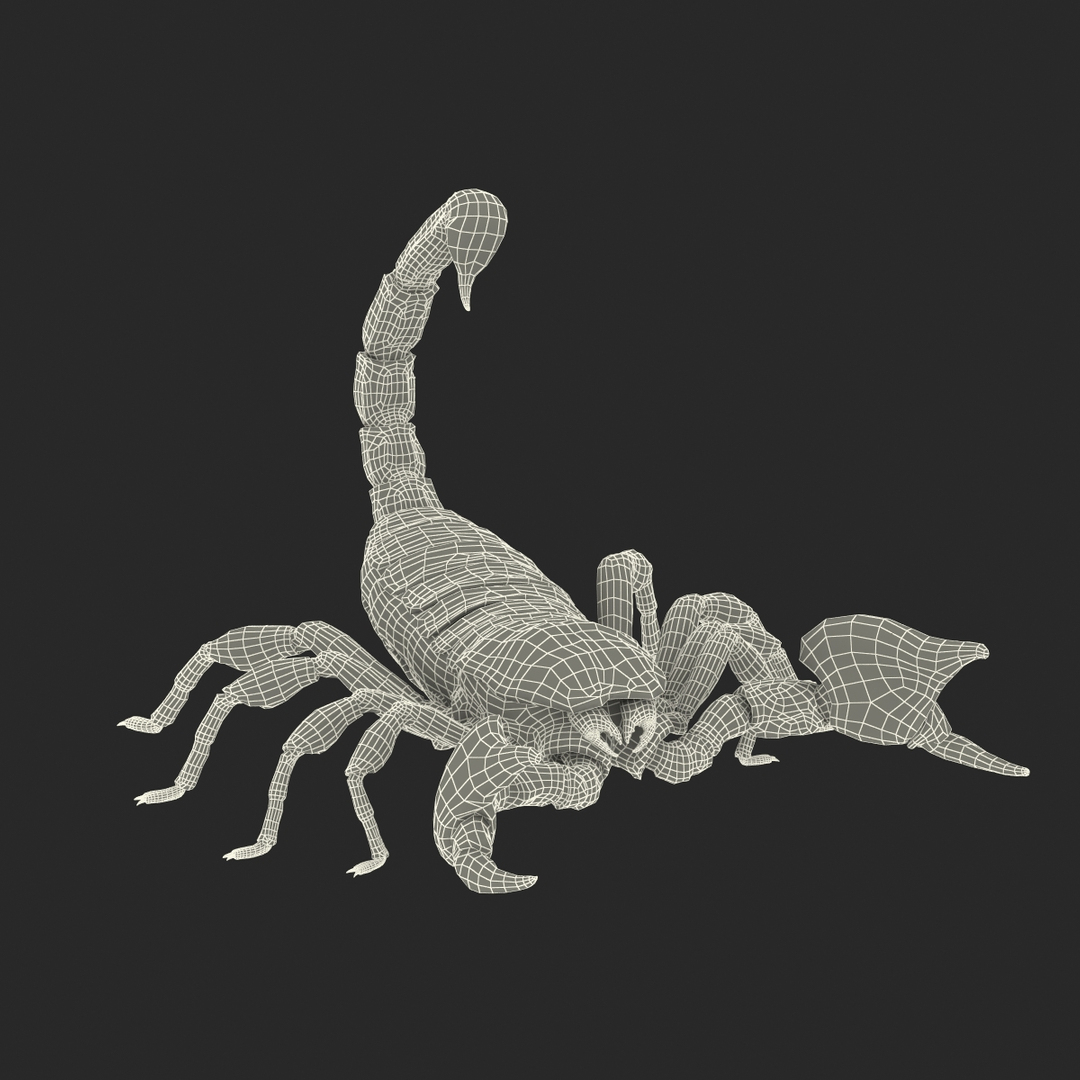 Creeping Insects Collection 6 3D model - TurboSquid 1881637
