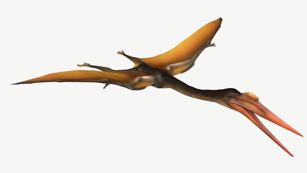 quetzalcoatlus 3d model