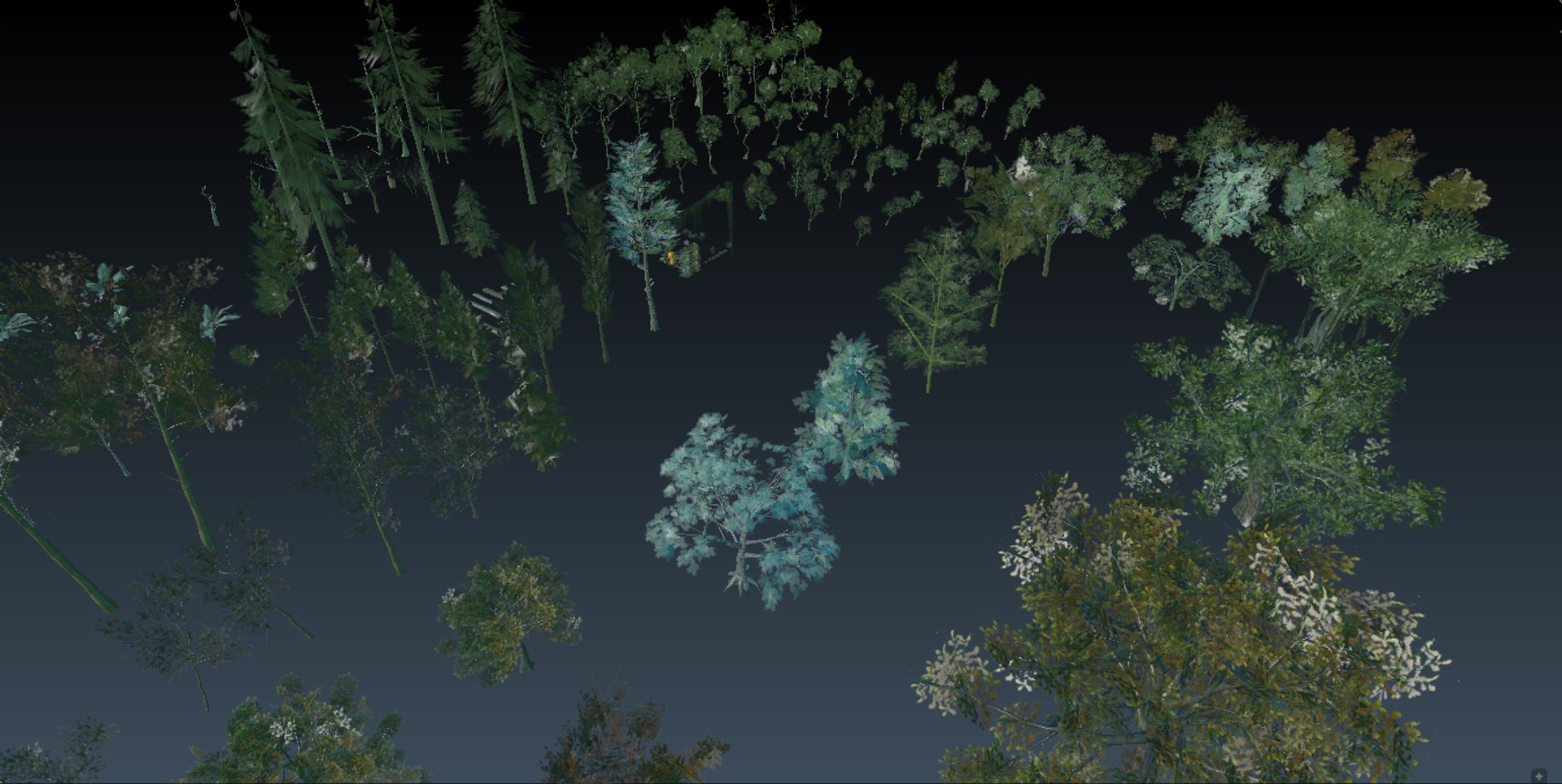 3D Trees Vr Model - TurboSquid 1438491