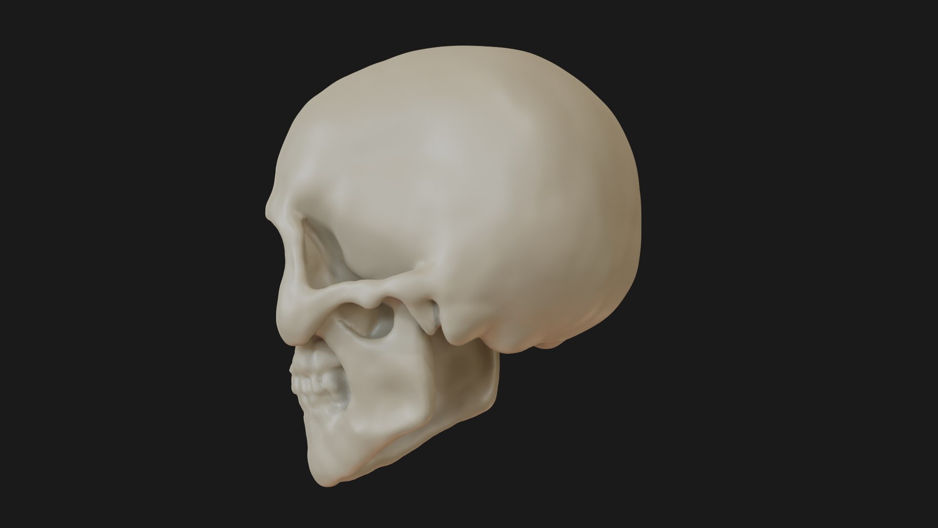 3D Female Human Skull - TurboSquid 2245901