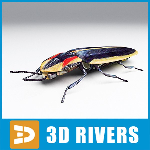 3D Firefly Models | TurboSquid