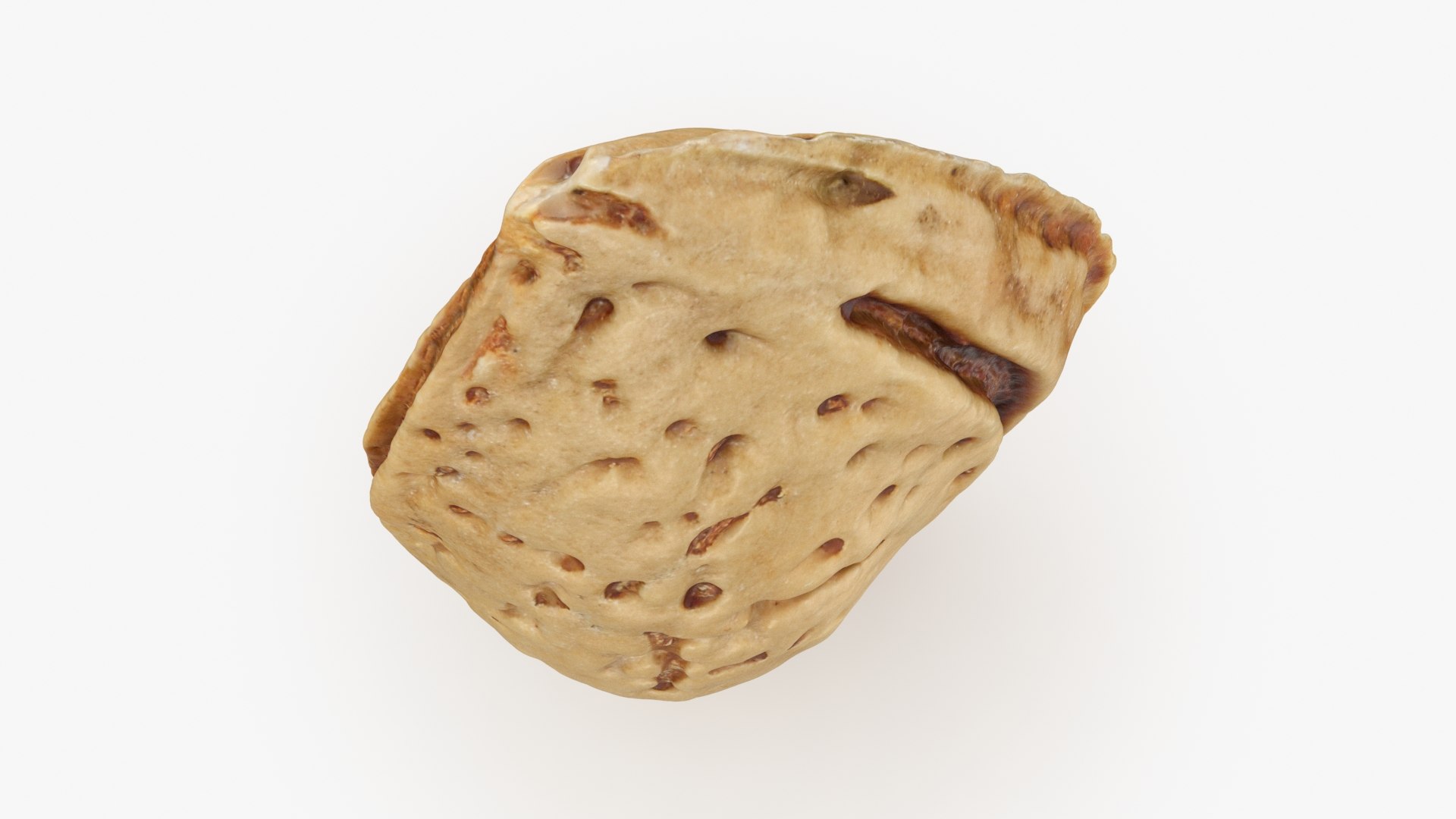 3D Almond Shell - TurboSquid 2277006