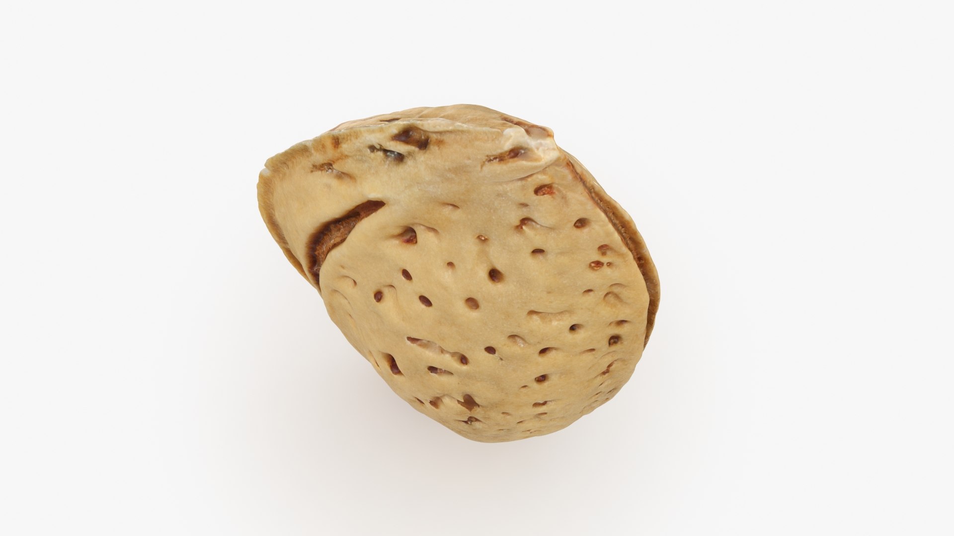 3D Almond Shell - TurboSquid 2277006