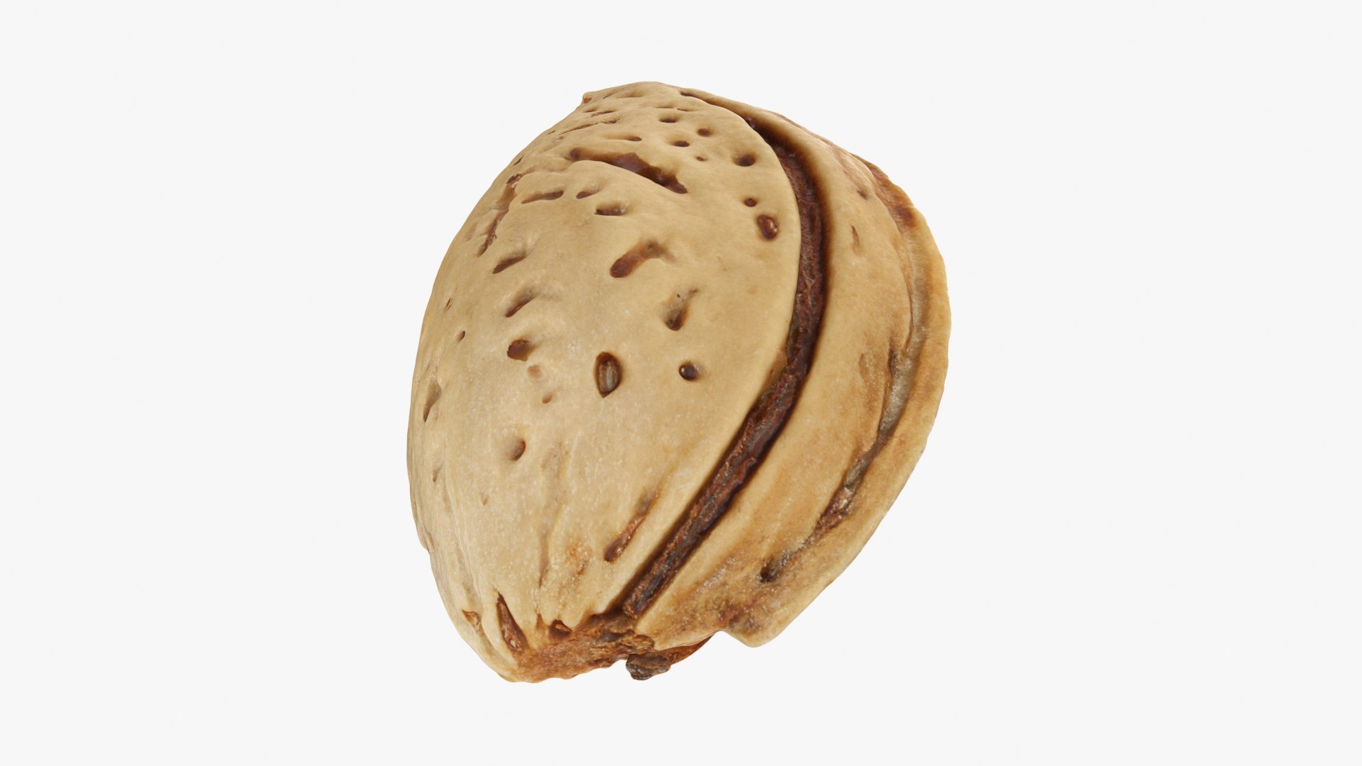 3D Almond Shell - TurboSquid 2277006