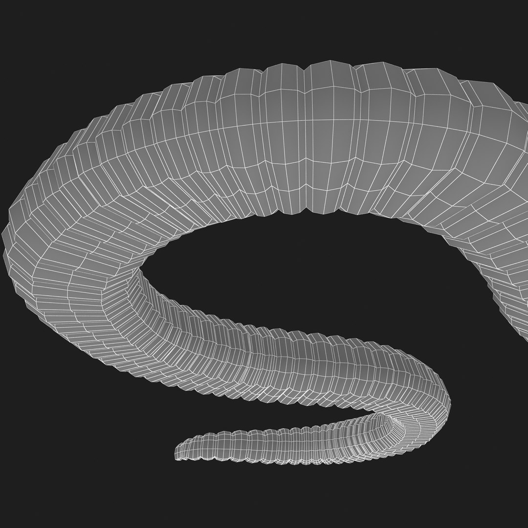 3ds Worm Scanline Ready