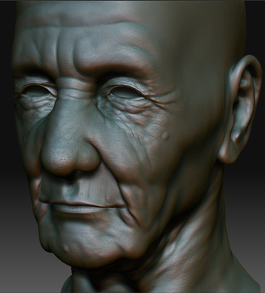 3d head old man polygons