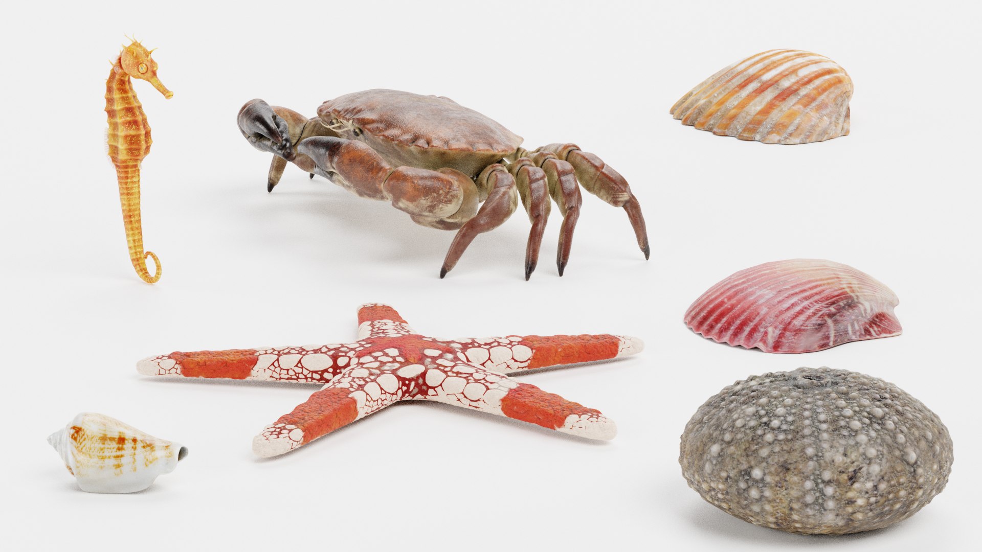 Sealife Set 3D - TurboSquid 1706136
