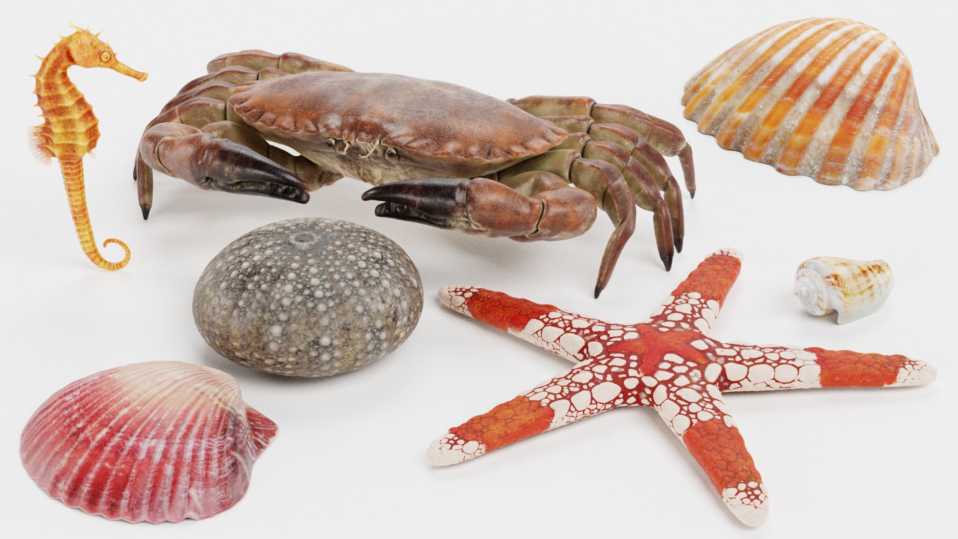 Sealife Set 3D - TurboSquid 1706136