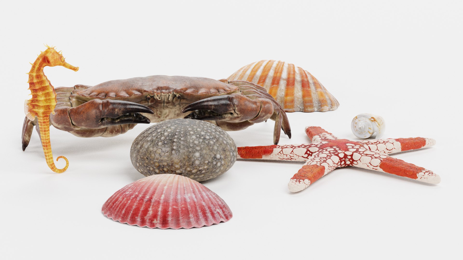 Sealife Set 3D - TurboSquid 1706136