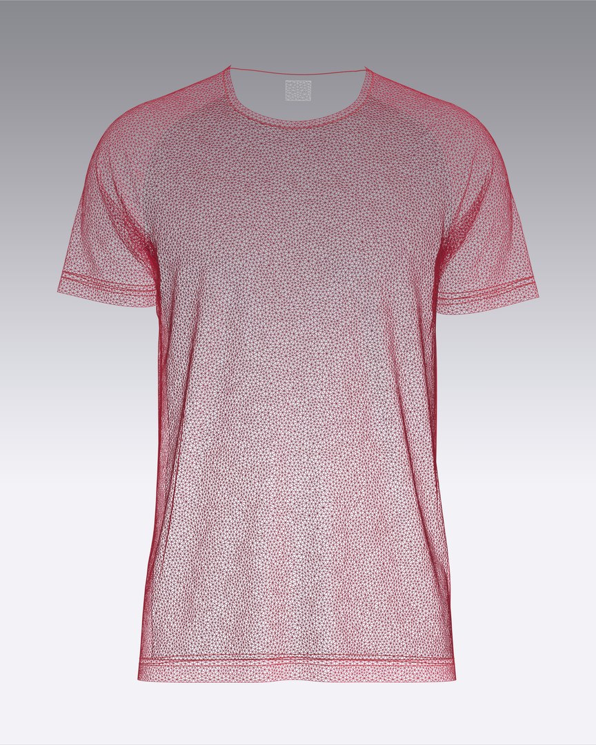 Reglan T Shirt With Cut And Sew Detailing With Graphic In Front Model ...