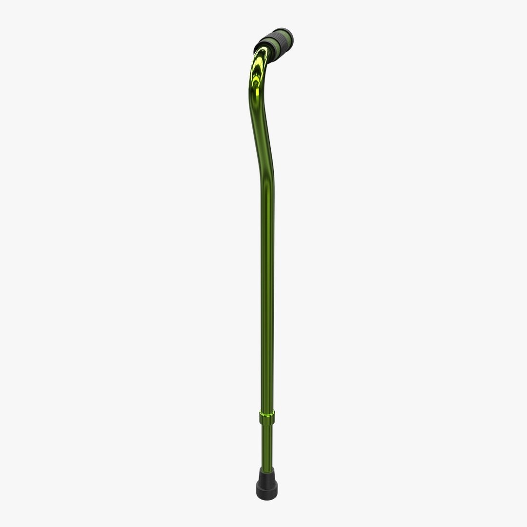 cane 3d model