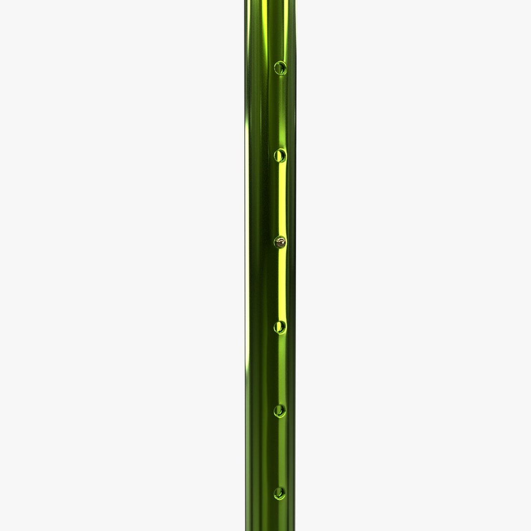 cane 3d model