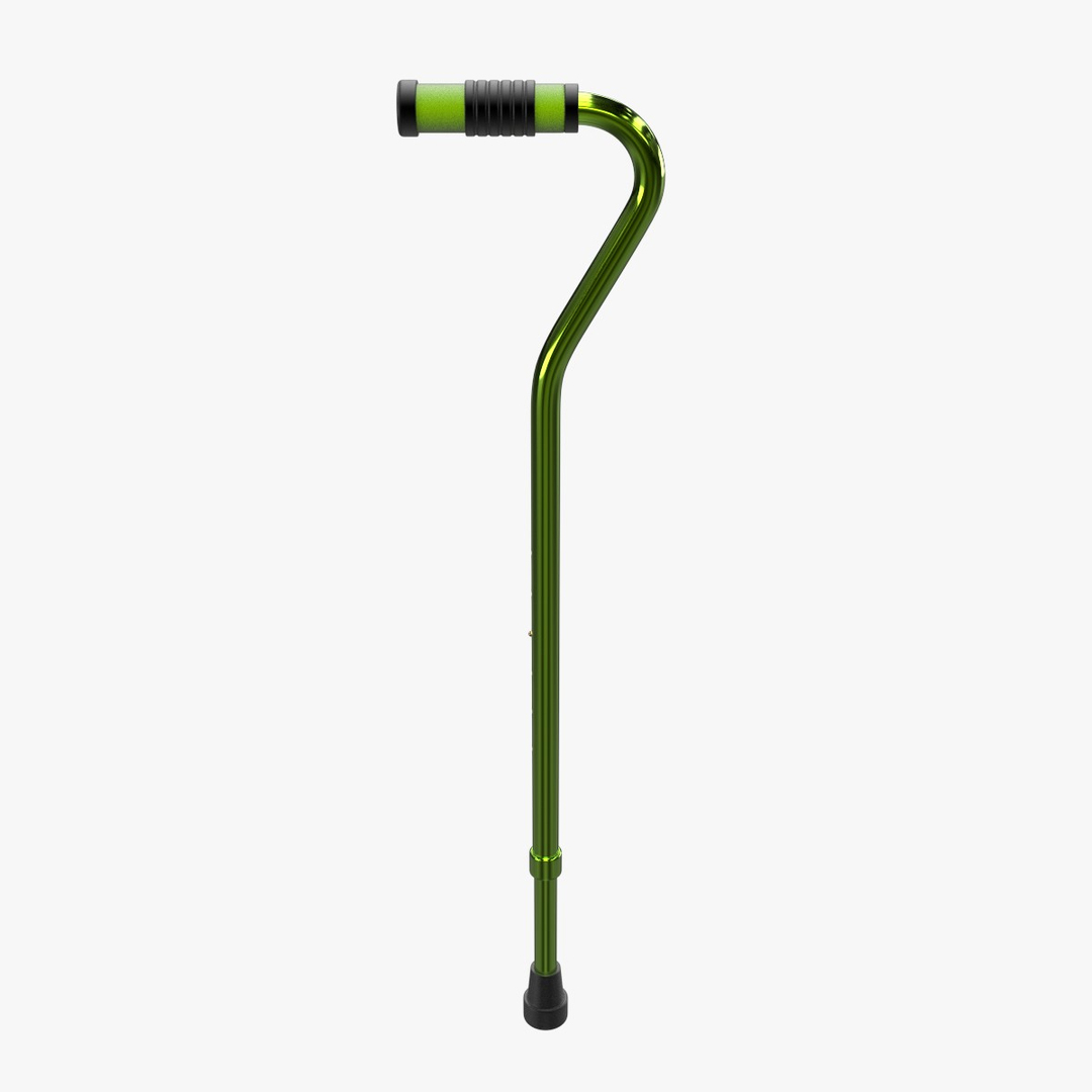 cane 3d model