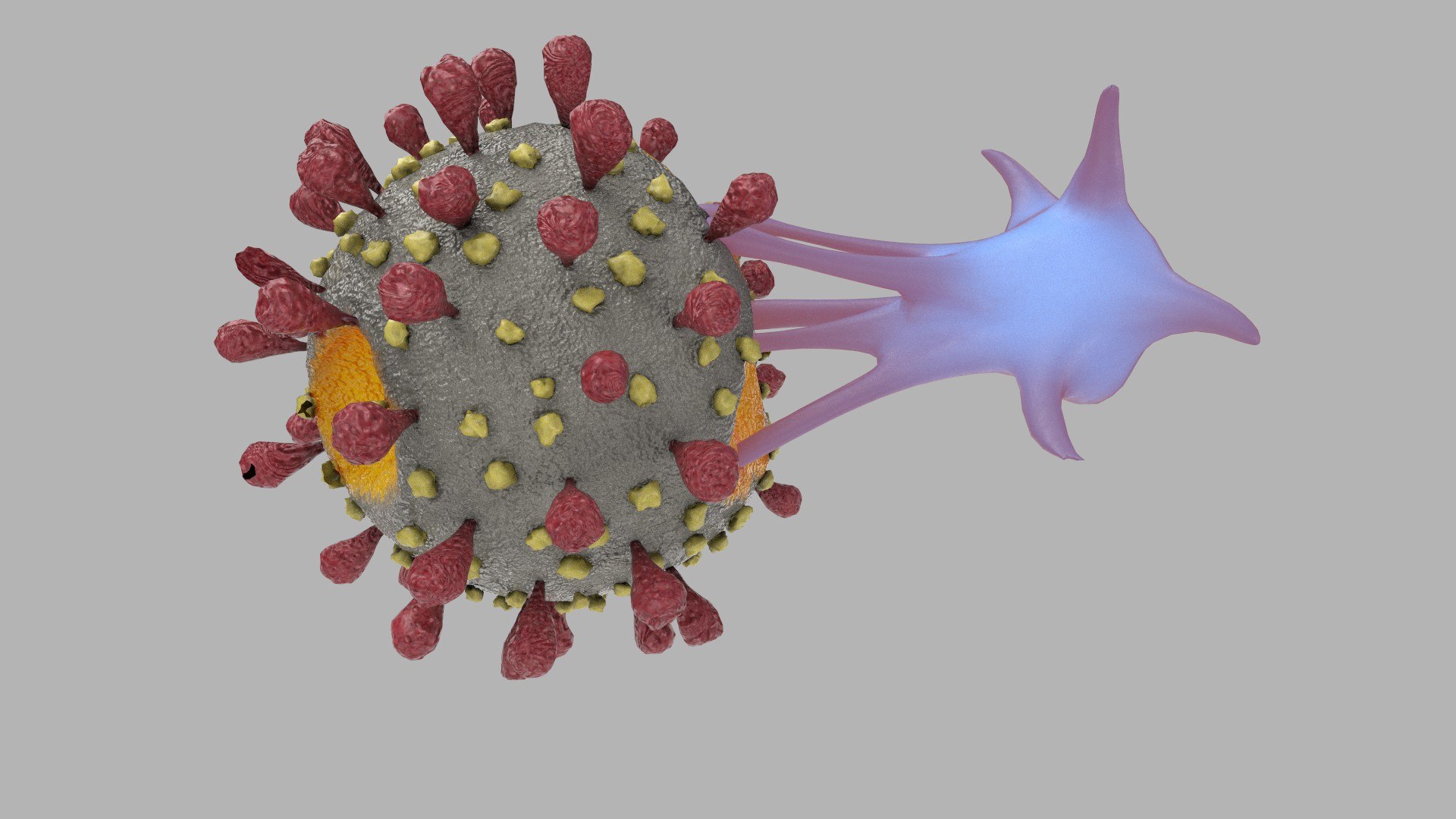 T-cell Virus 3D Model - TurboSquid 1557497