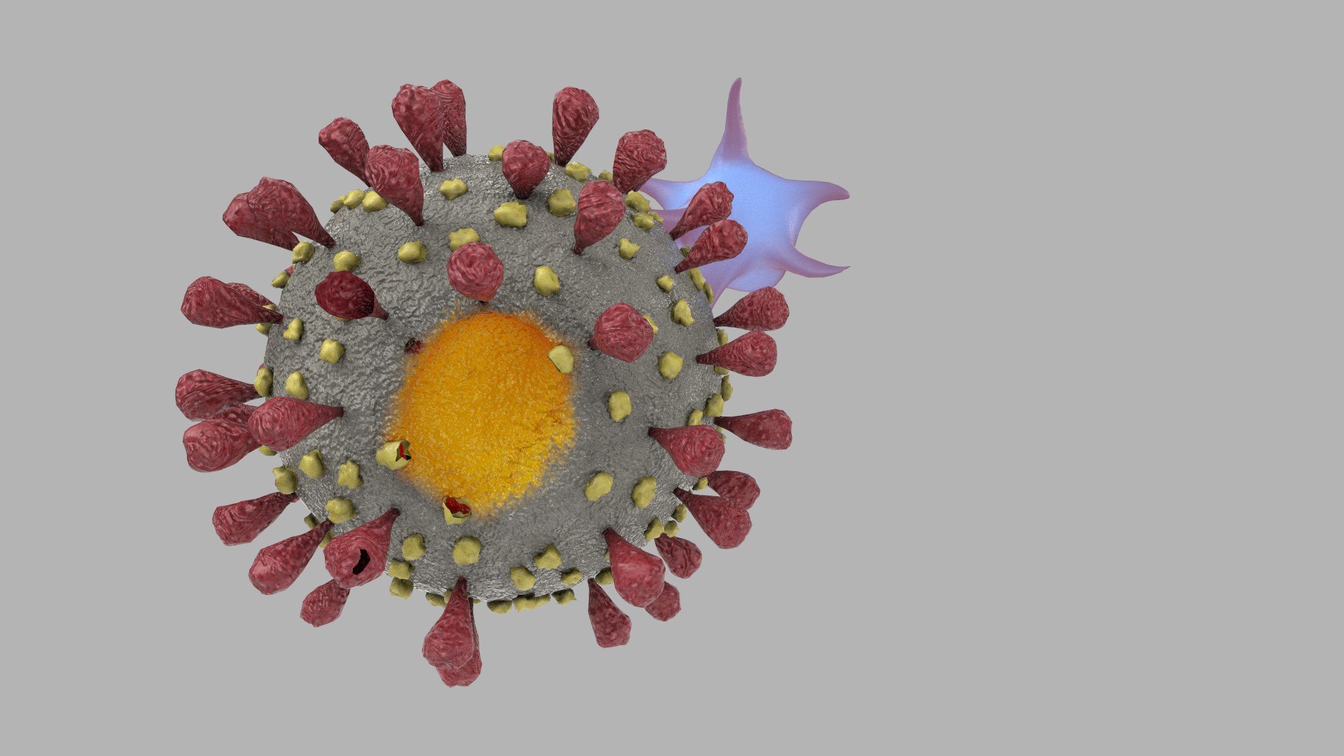 T-cell Virus 3D Model - TurboSquid 1557497