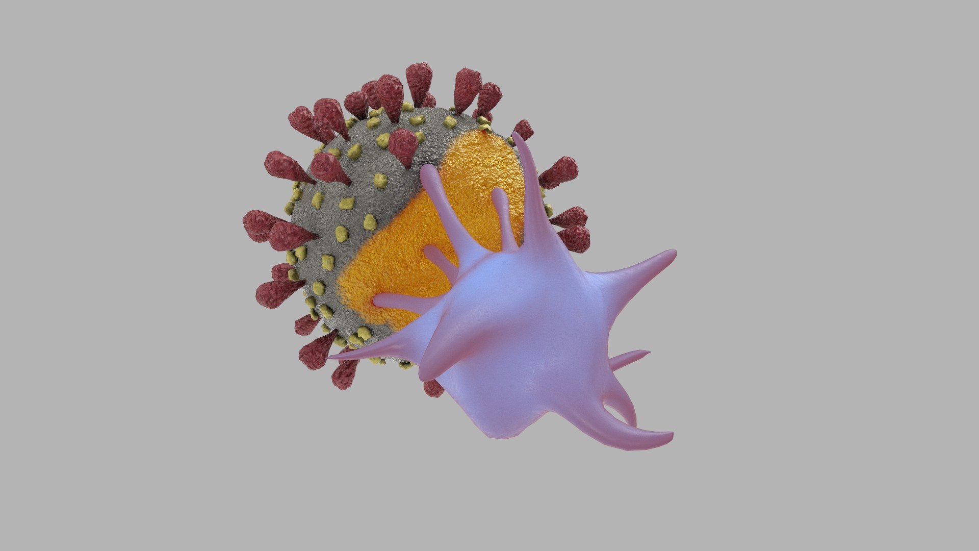 T-cell Virus 3D Model - TurboSquid 1557497