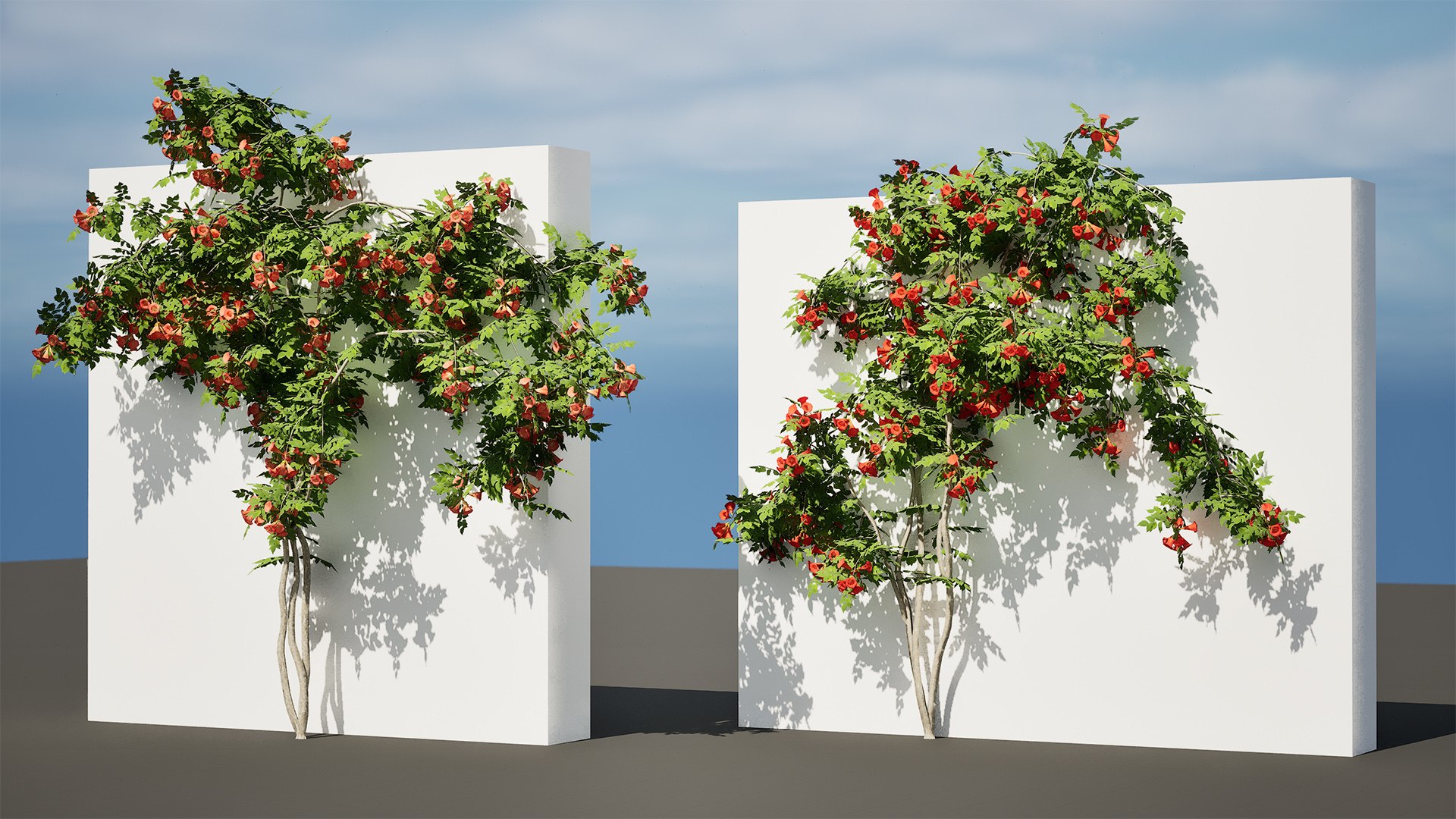 3D Model Classic And Flamenco Trumpet Vine 3D Model - TurboSquid 2196064