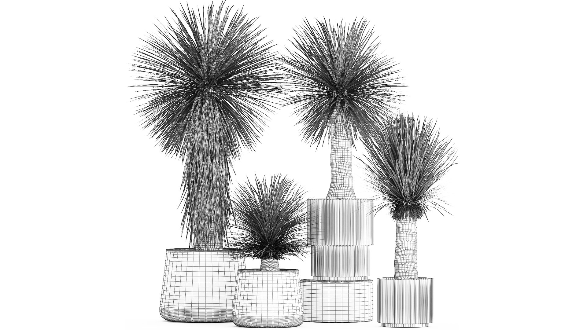 Beautiful Yucca rostrata palm plants in a flowerpot 1313 3D ...