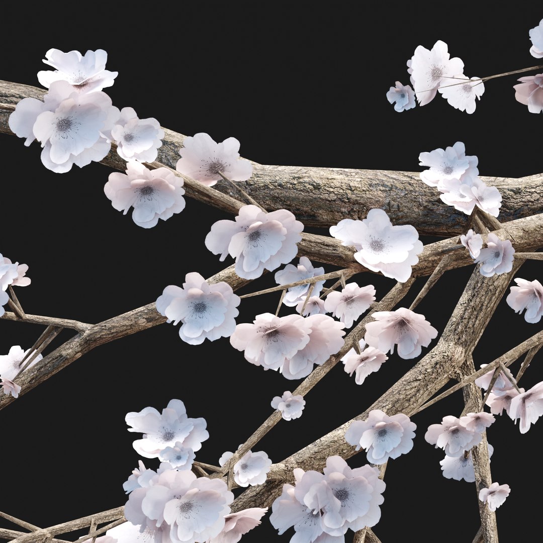 Cherry Blossom Tree Vol 98-3dmodel 3D Model - TurboSquid 2242579