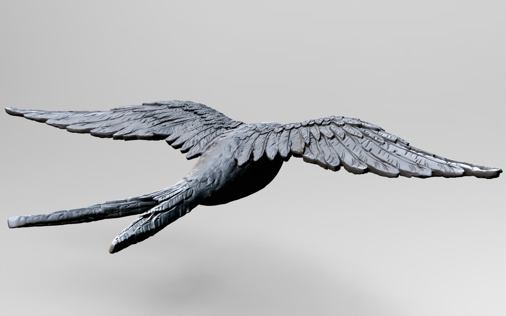 Swallow bird print 3D model - TurboSquid 1733797