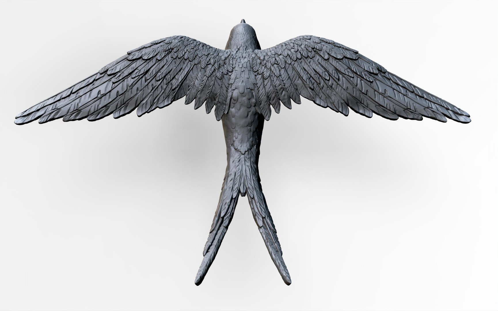 Swallow Bird Print 3D Model - TurboSquid 1733797