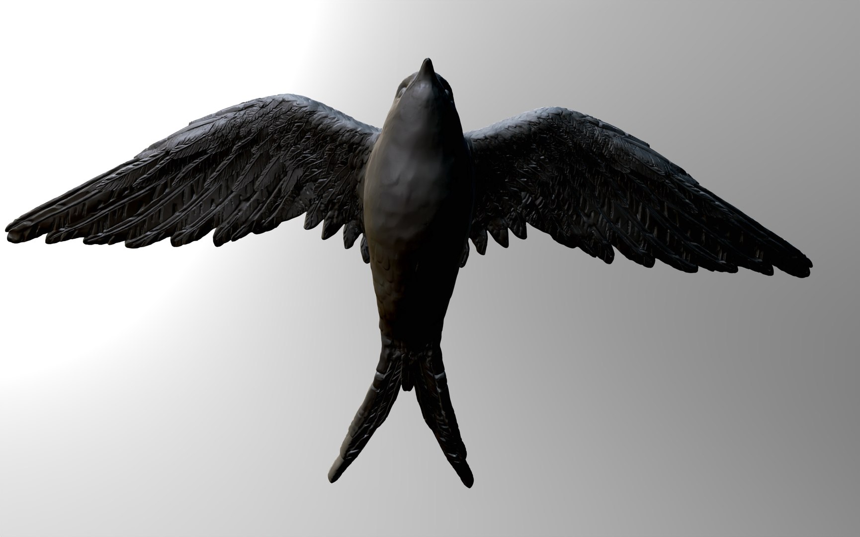 Swallow bird print 3D model - TurboSquid 1733797