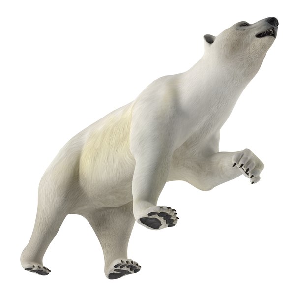 3d model polar bear pose 2