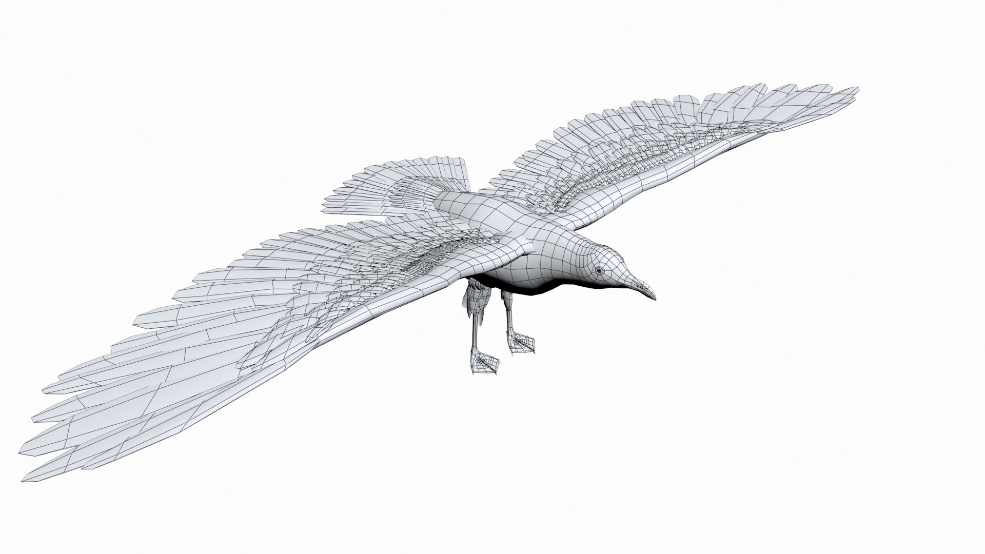Seagull Gull 3D - TurboSquid 1606594