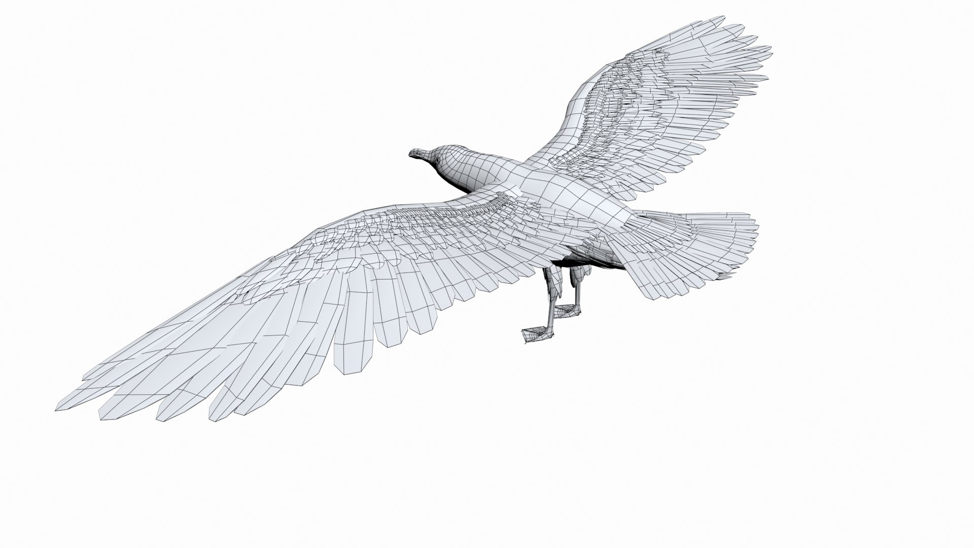 Seagull Gull 3D - TurboSquid 1606594