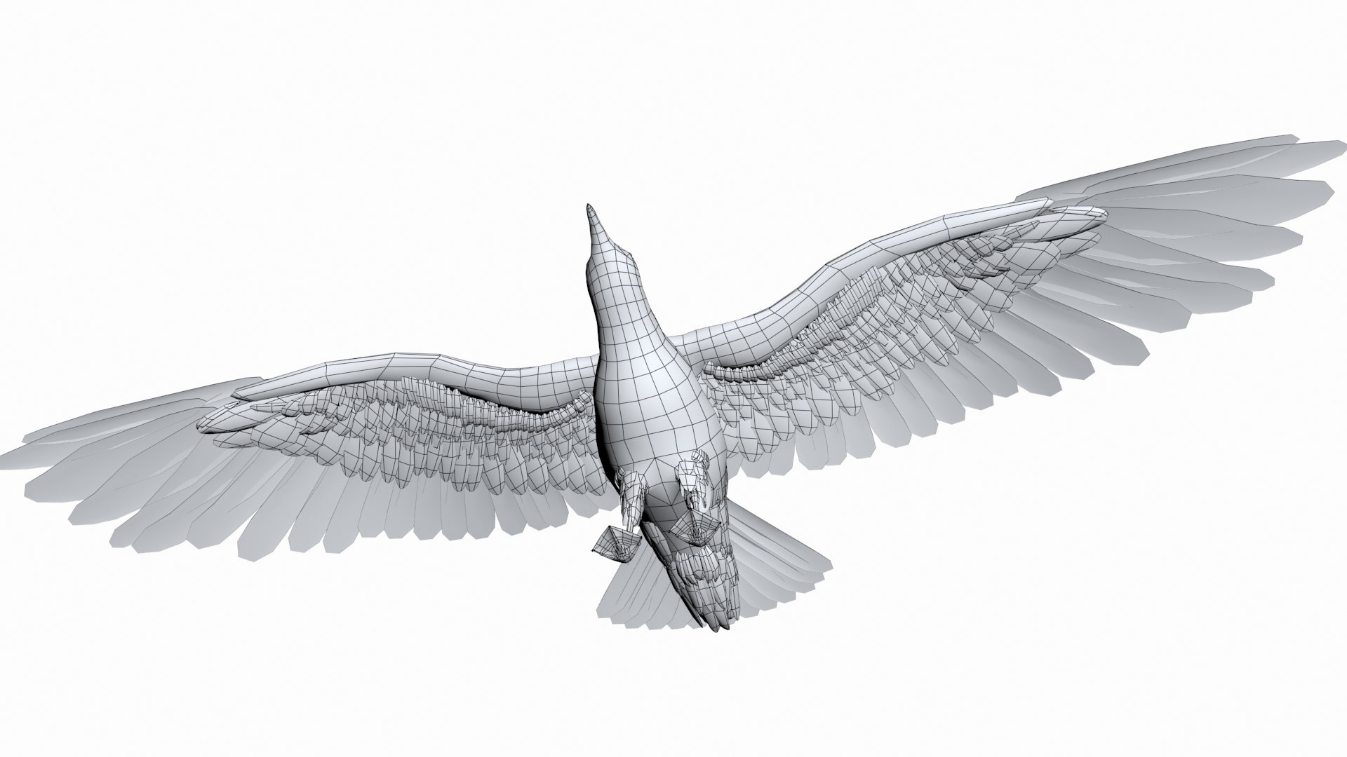 Seagull Gull 3D - TurboSquid 1606594
