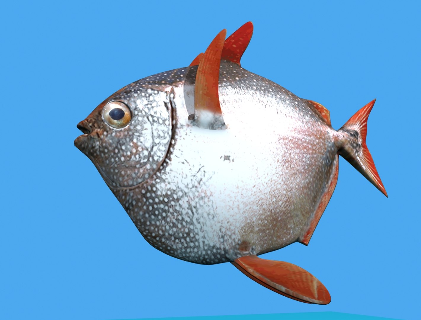 Opah Fish 3d Max