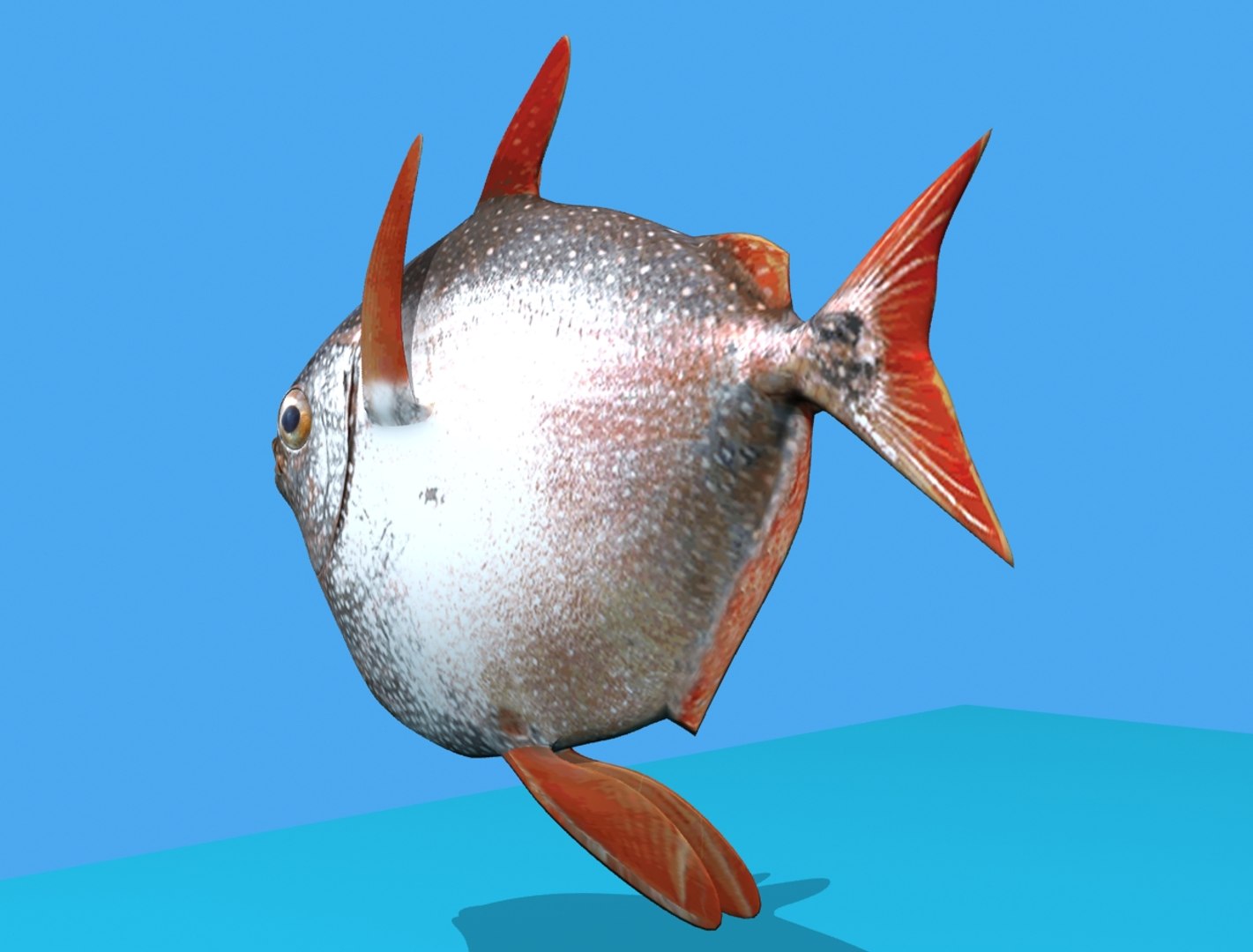 Opah Fish 3d Max