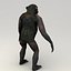 Chimpanzee Rigged Biped 3d Model