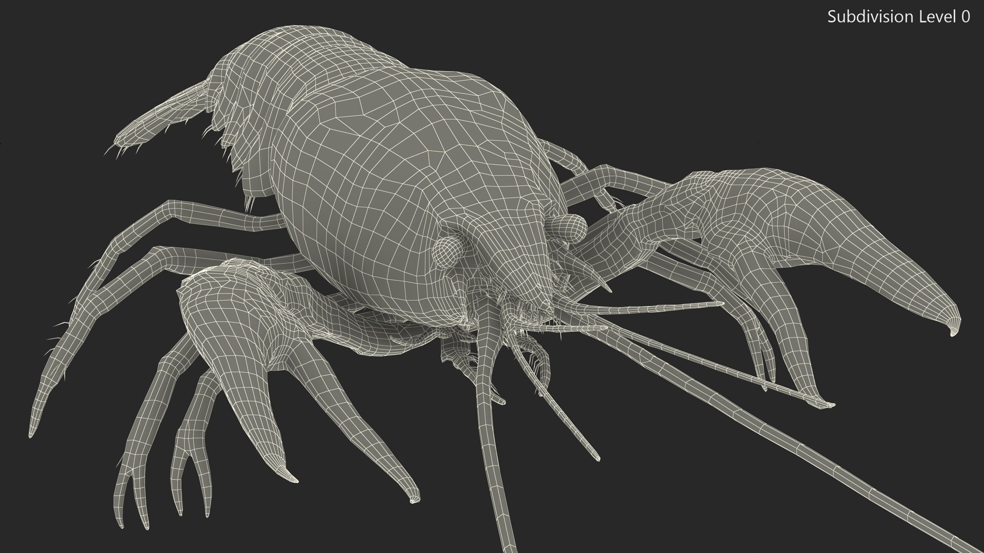 3D Florida Crayfish - TurboSquid 2163483