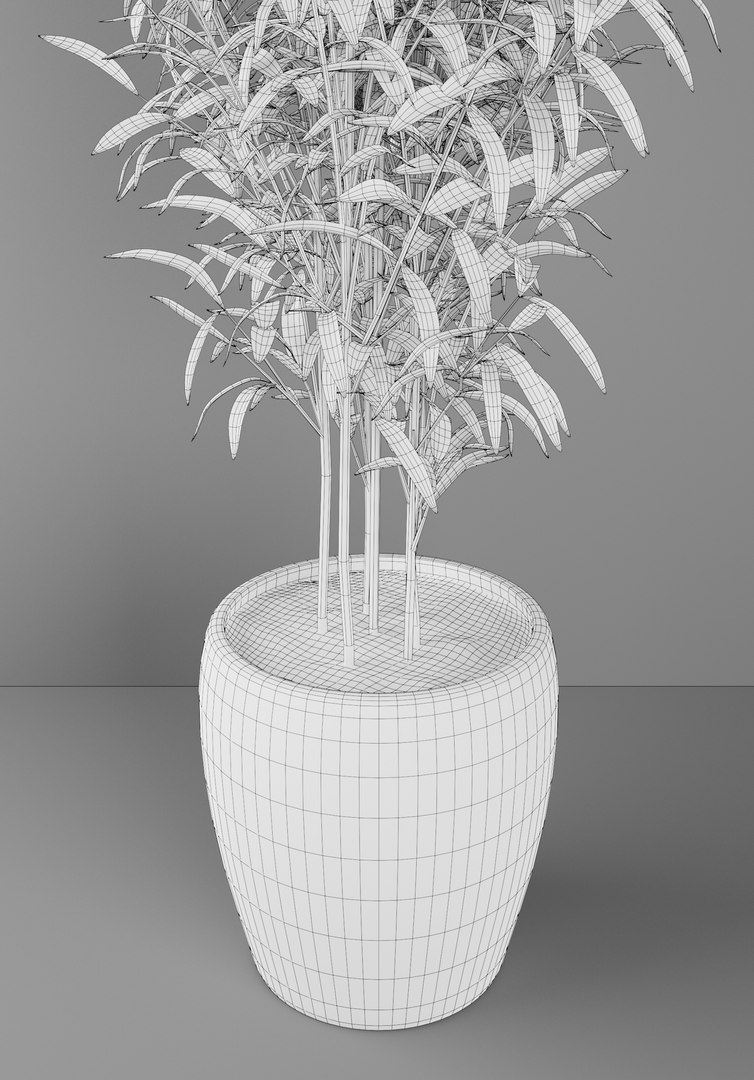 3D plant model - TurboSquid 1520140