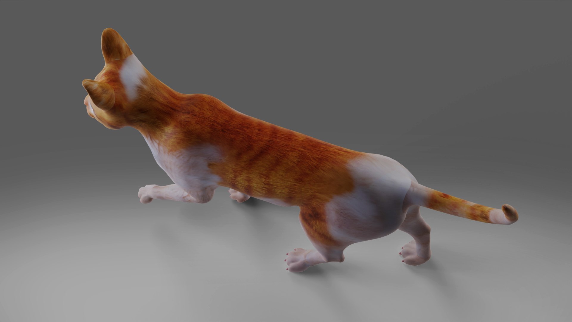 3D Calico Cat Rigged And Animated V2 In Blender - TurboSquid 1985006