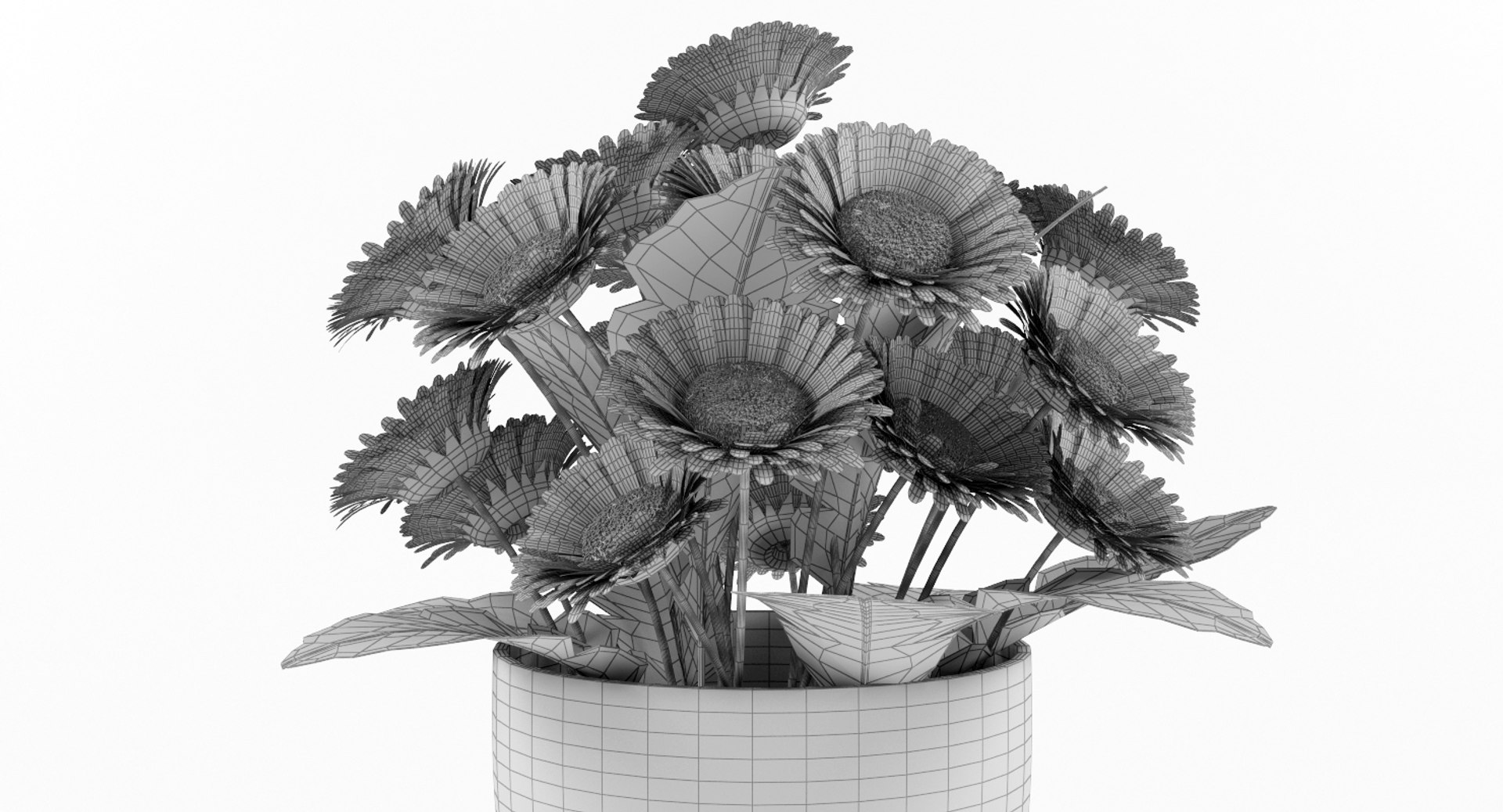 flower gerbera 3d model