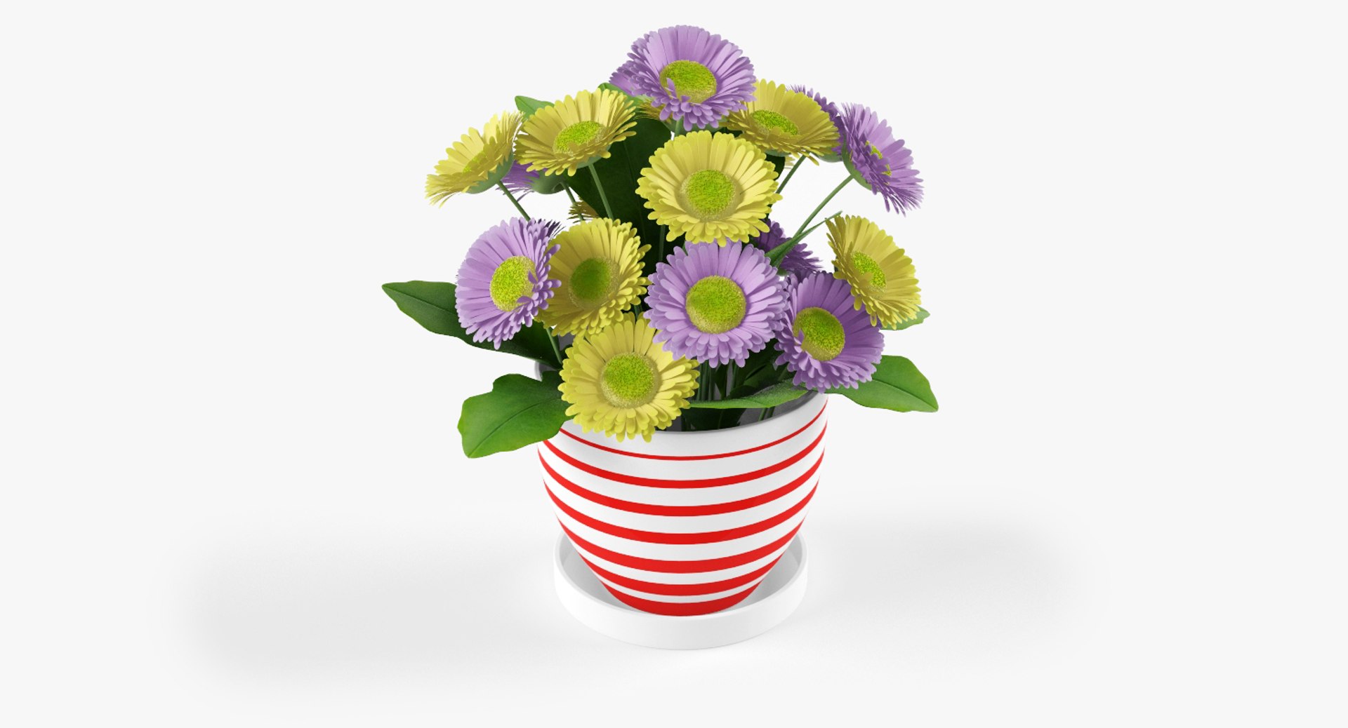 flower gerbera 3d model