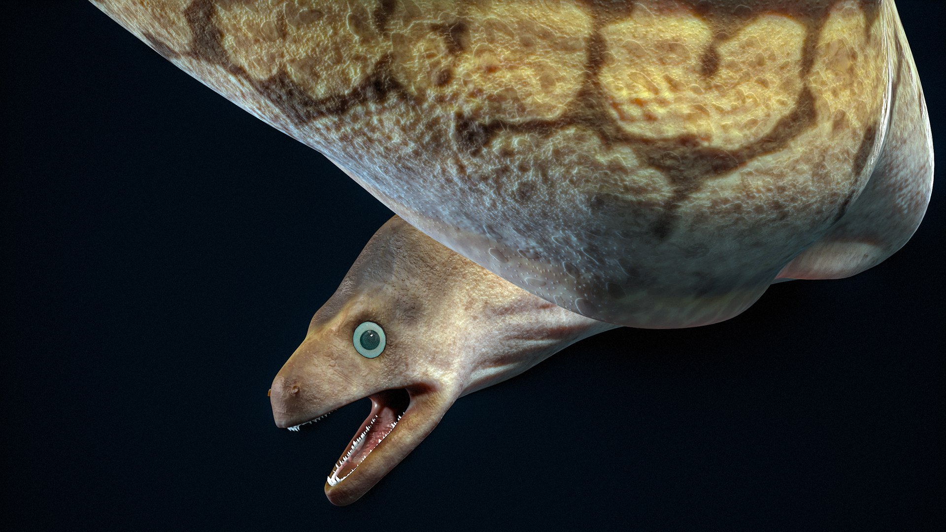 Moray Eel Rigged PBR 3D model - TurboSquid 2093860