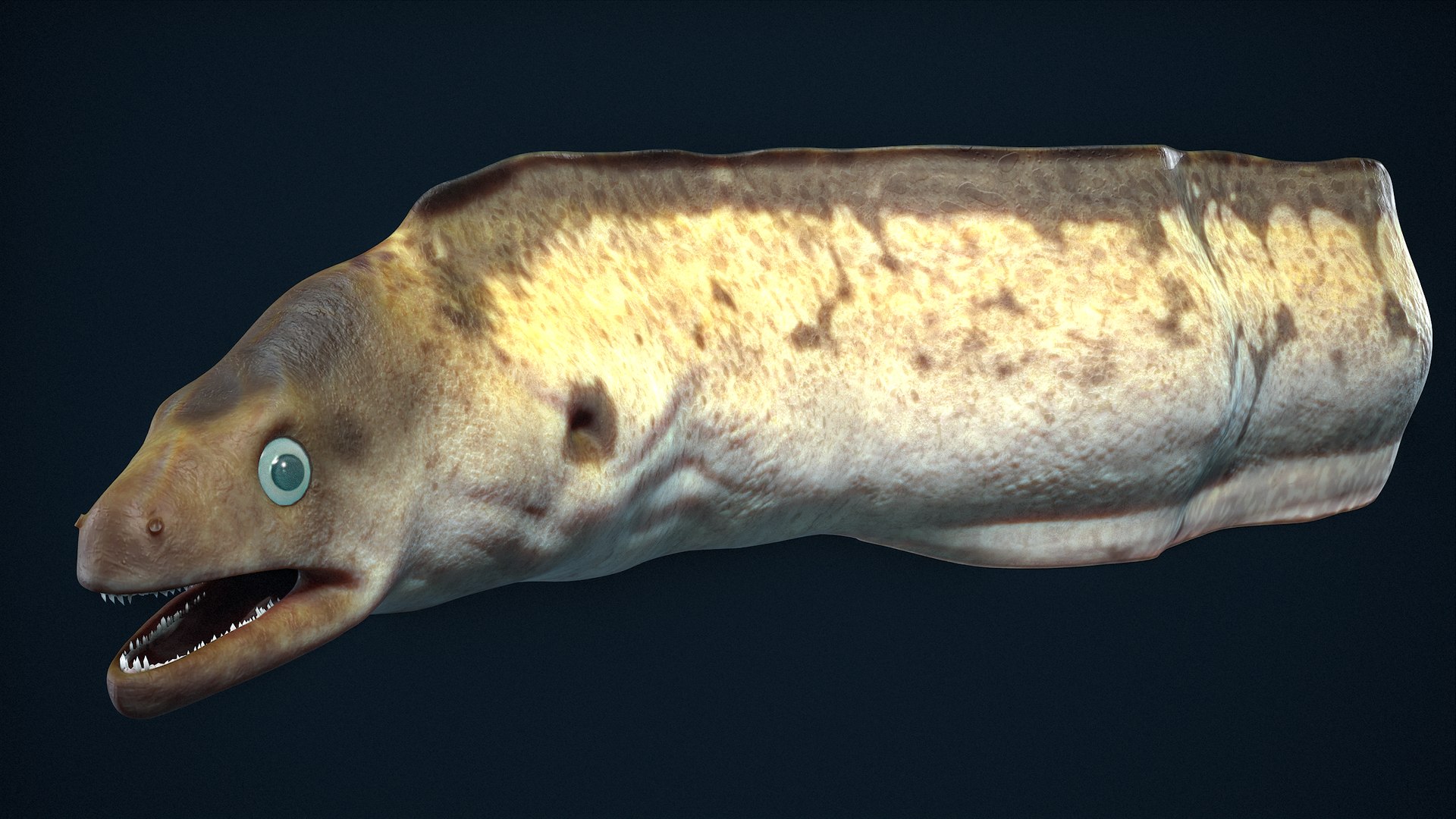 Moray Eel Rigged PBR 3D model - TurboSquid 2093860