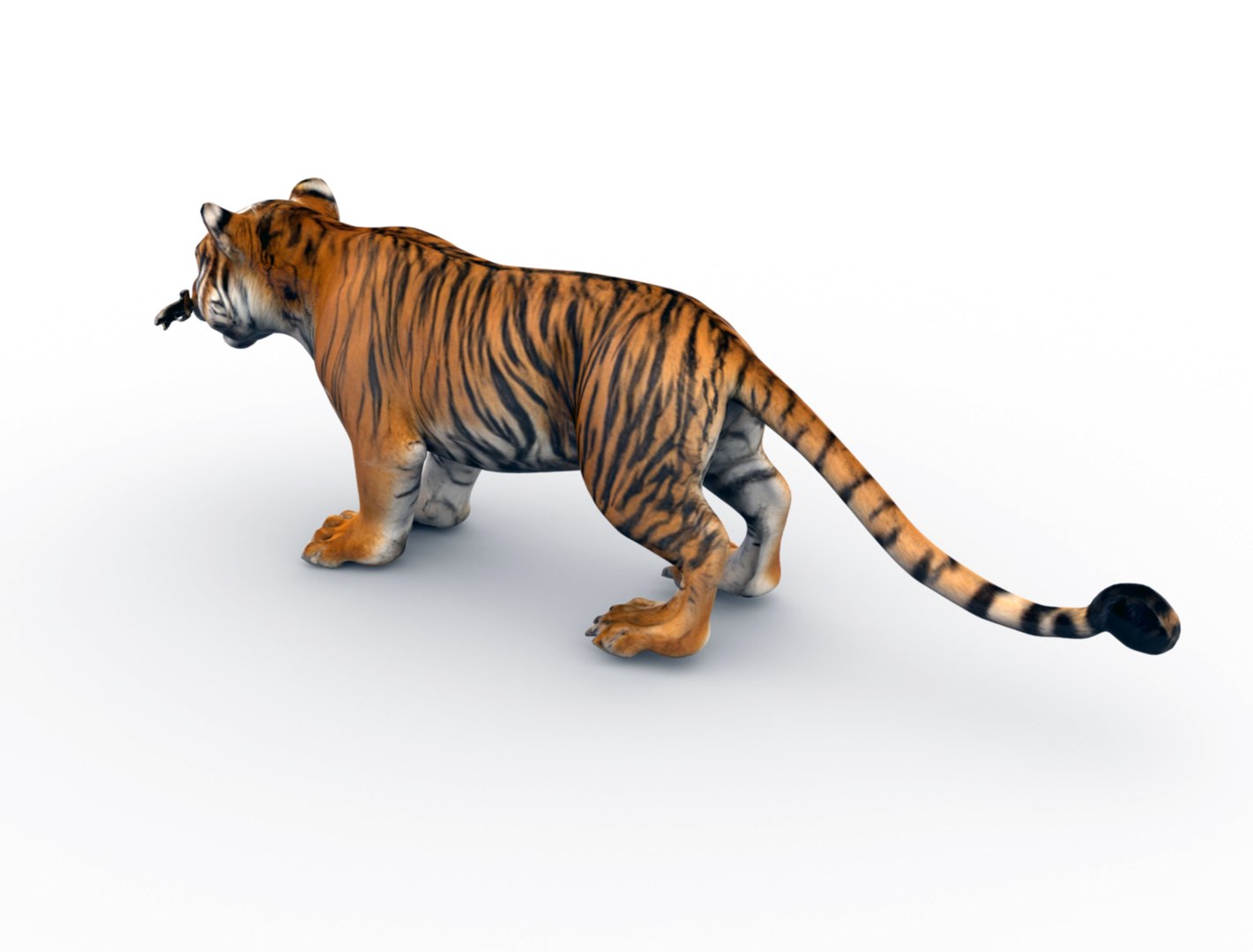 Bengal Tiger 3D Model - TurboSquid 2329065